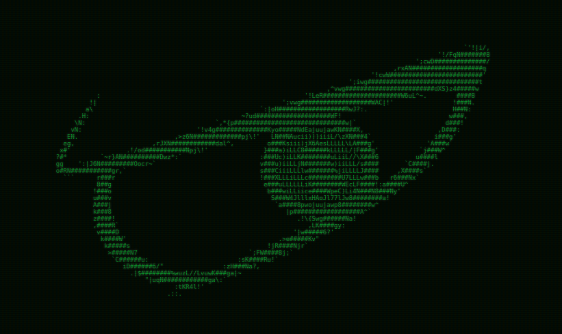 IrisCTF 2024 Writeups